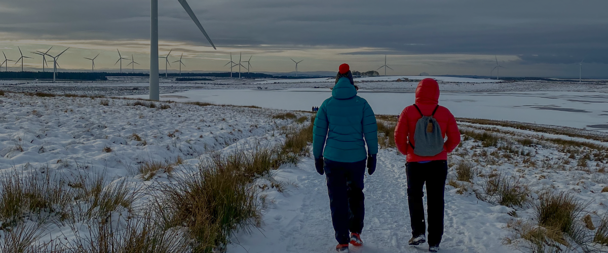 Putting people professionals on the road to net zero | CIPD